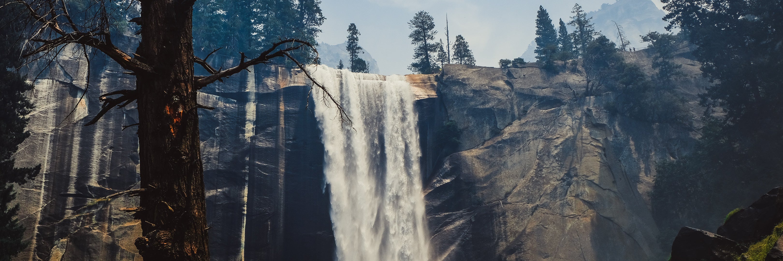 What’s the Difference Between Purified and Spring Water? – JUST WATER