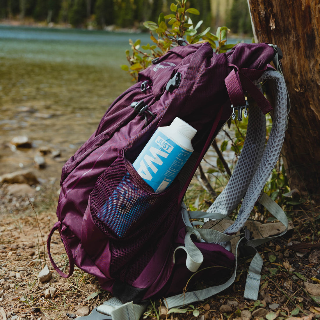 The Best Mountain-Sourced Spring Water – JUST WATER